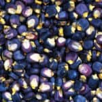 Blue Corn Cornbread - Tribal Foods